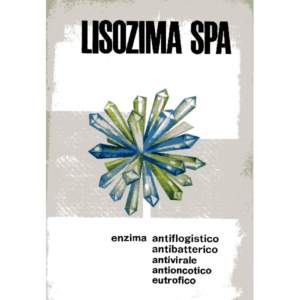 In principio Dio creò il cielo, la terra e il Lisozima… – Benvenuto in ...